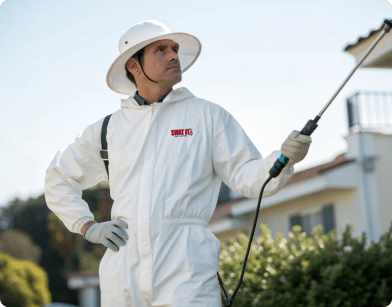 Our Pest Control Process | Swat It!