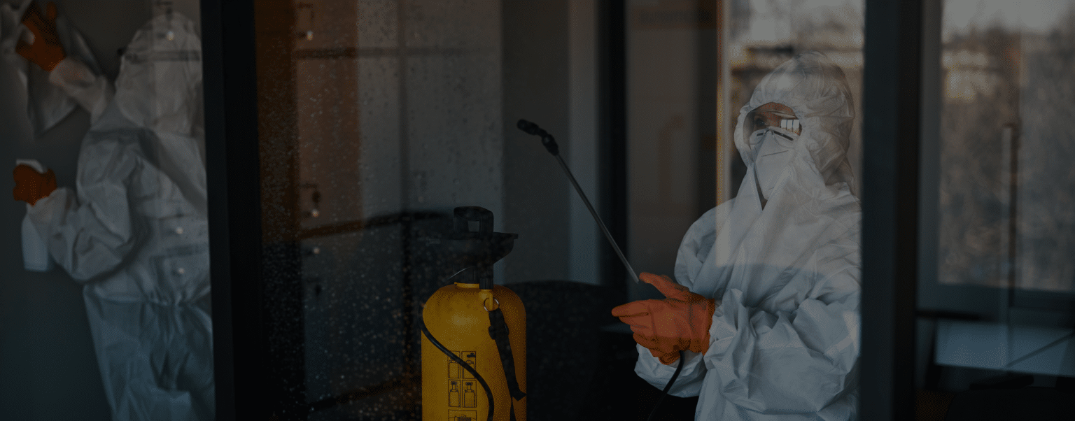 Pest Control Services- Don’t Kill It, SWAT IT!